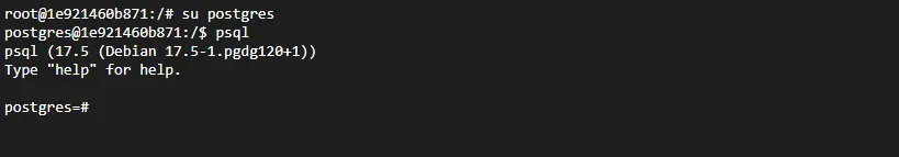 超详细教程：NAS上PostgreSQL数据库的Docker Compose部署指南，新手零基础也能轻松上手，包括安装、配置和使用全解析 - WMW